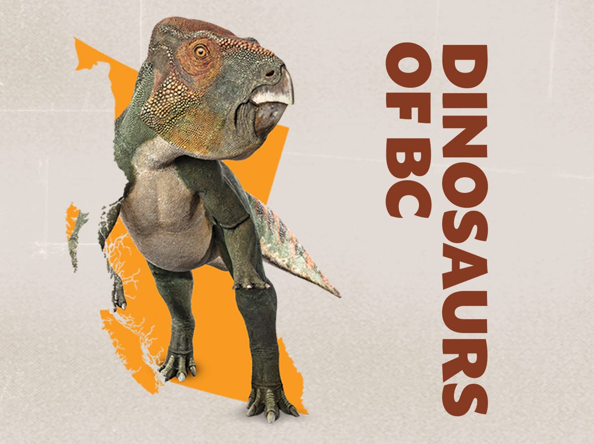 Feature Exhibit: Dinosaurs of BC - Downtown Nanaimo